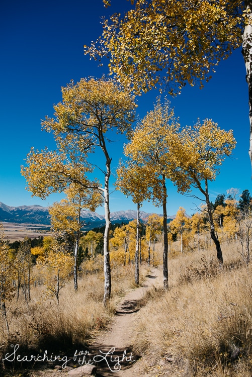 Kenosha Pass Fall Colors | Kenosha Pass Hike - Celebrate Again