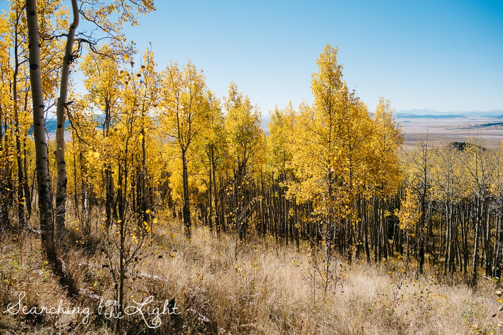 Kenosha Pass Fall Colors | Kenosha Pass Hike - Celebrate Again