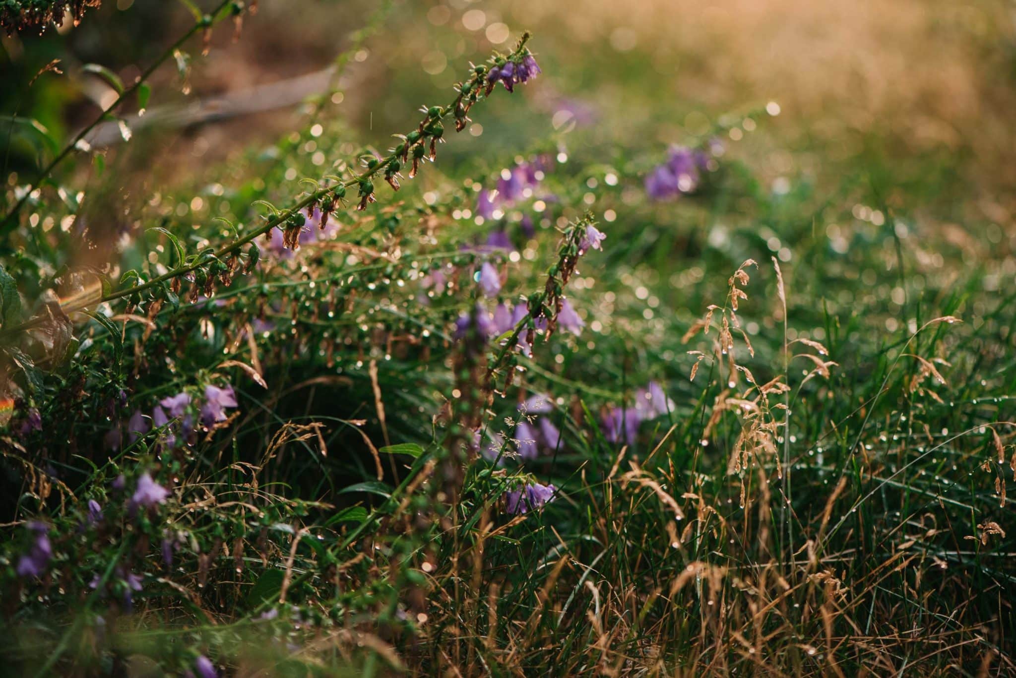 Dream Lake Hike + How to Have A Dream Lake Wedding