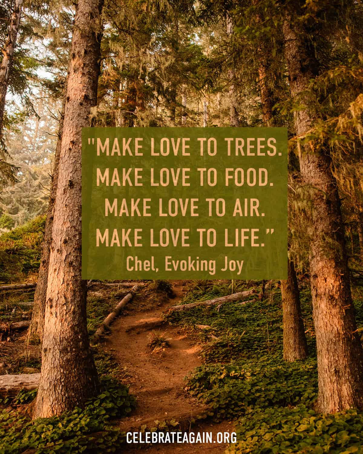 200+ Self Love Quotes to Empower Self Confidence & Affirmations ...