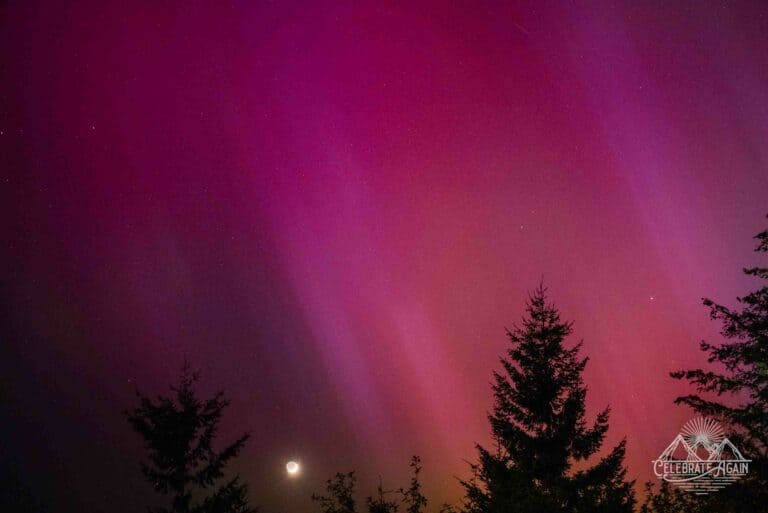 Northern Lights Visible in Oregon - Aurora Borealis Oregon May 2024